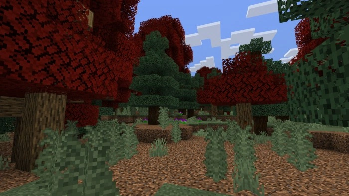 Maple Forest | Expansive Biomes Wiki | Fandom
