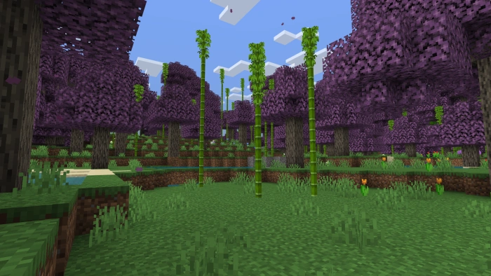 Jacaranda Forest | Expansive Biomes Wiki | Fandom