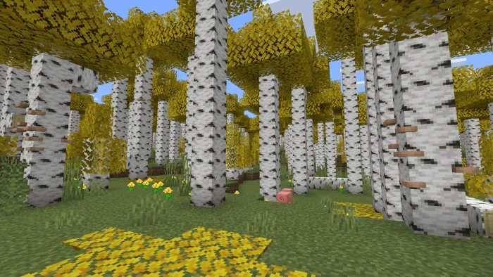 Aspen Forest | Expansive Biomes Wiki | Fandom
