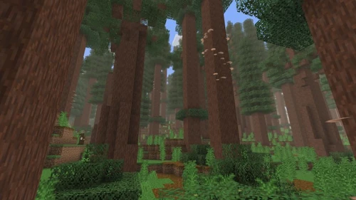 Redwood Forest | Expansive Biomes Wiki | Fandom
