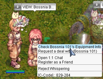 Old Guide | ExperienceRO Wiki | Fandom