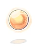 Evolution Stone | ExperienceRO Wiki | Fandom