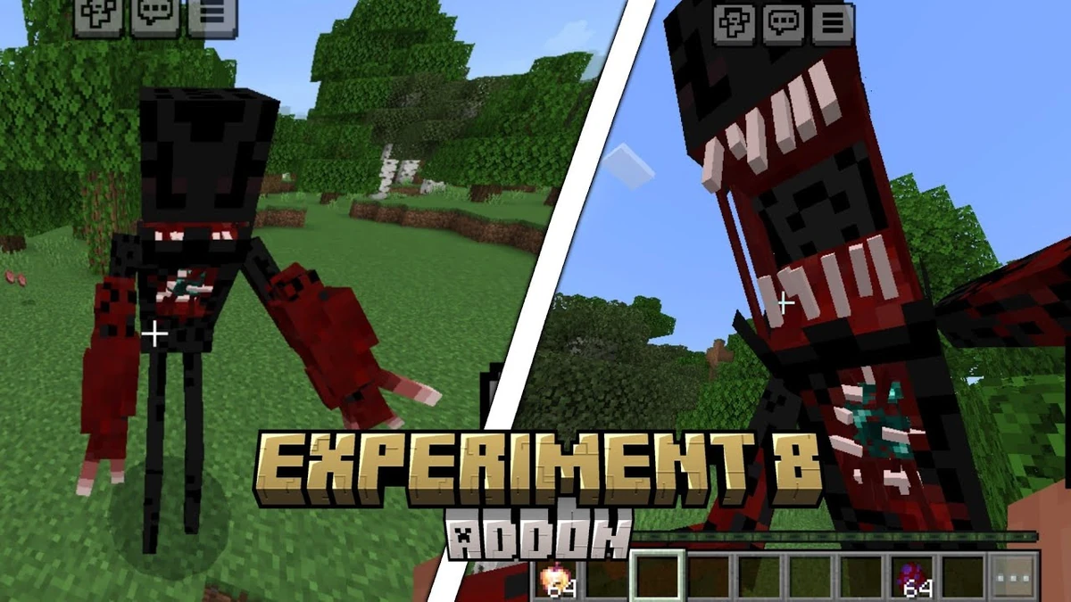 Infected Enderman | Experiment 8 Wiki | Fandom