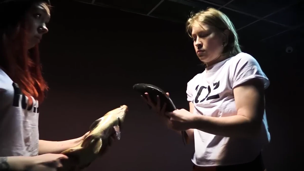 Day 33 | Experiment-12 Wiki | Fandom