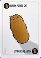Cat card - Exploding Kittens Wiki