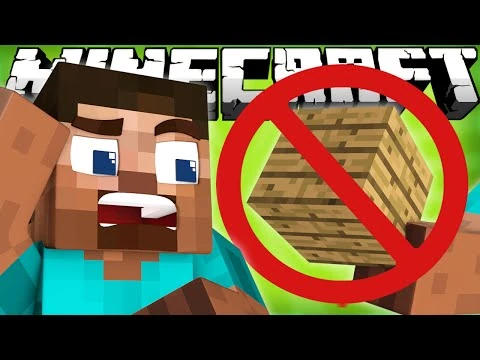 If You Couldn't Build in Minecraft | ExplodingTNT Wiki | Fandom