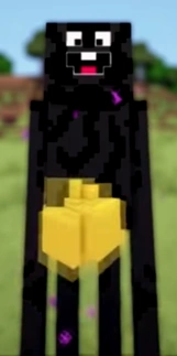 ExplodingTNT and Peeing Enderman's Son | ExplodingTNT Wiki | Fandom