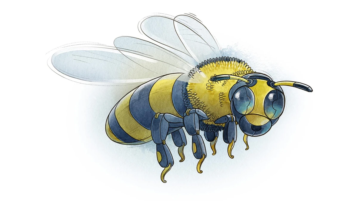 Mell | Explorer Academy Wiki | Fandom