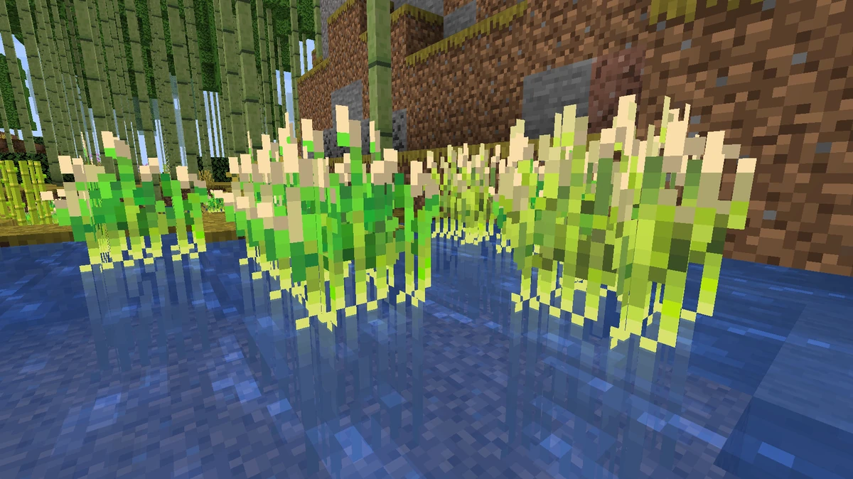 Rice | Explorercraft Wiki | Fandom