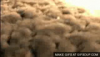 Explosion Number 1 | TNT Wiki | Fandom