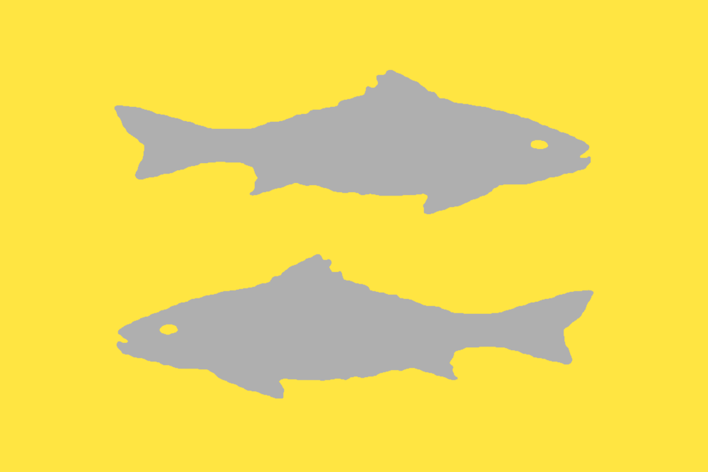 Pandya | Extended Timeline Wiki | Fandom