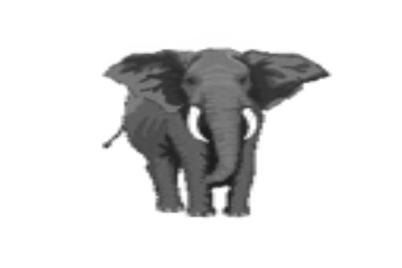 Ndongo | Extended Timeline Wiki | Fandom