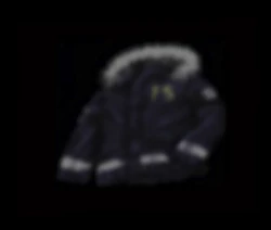 Arctic Parka | Extermination Wiki | Fandom