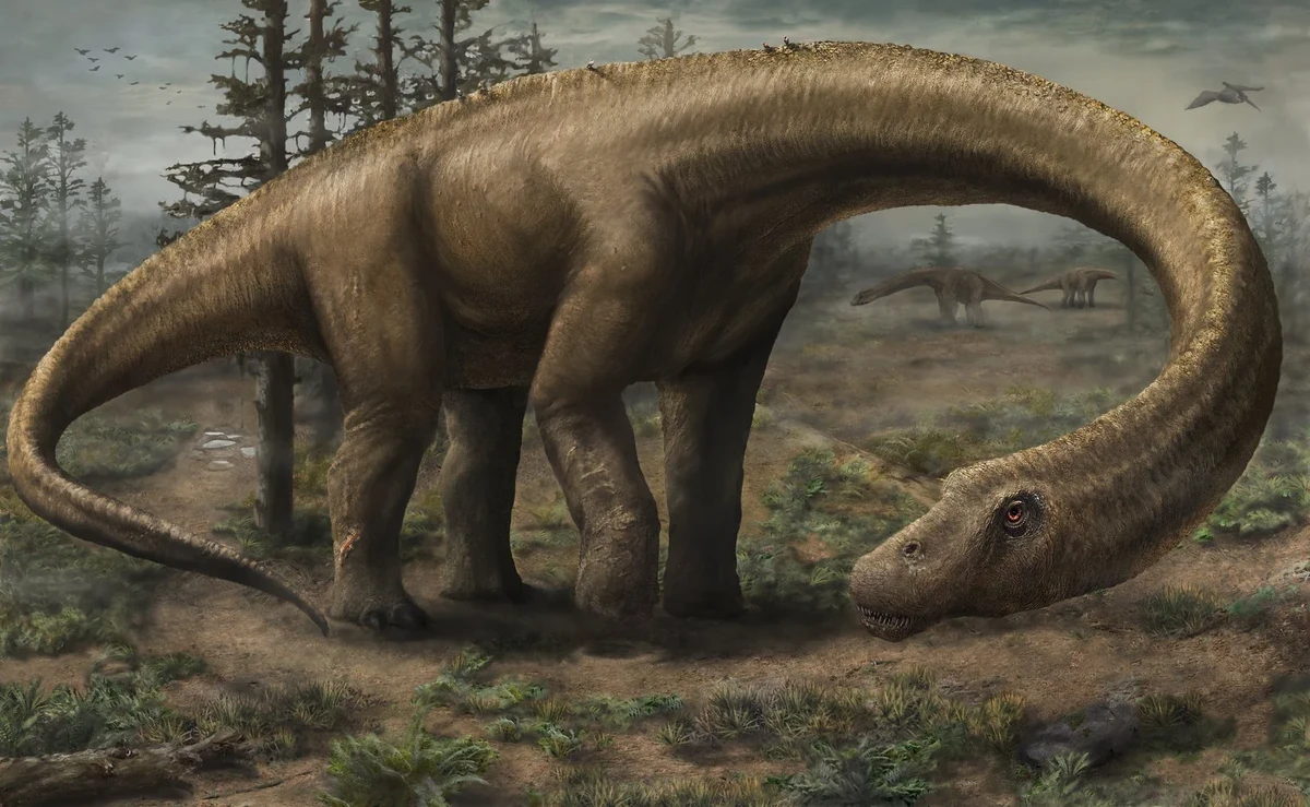 Dreadnoughtus | Extinct Animals Wiki | Fandom