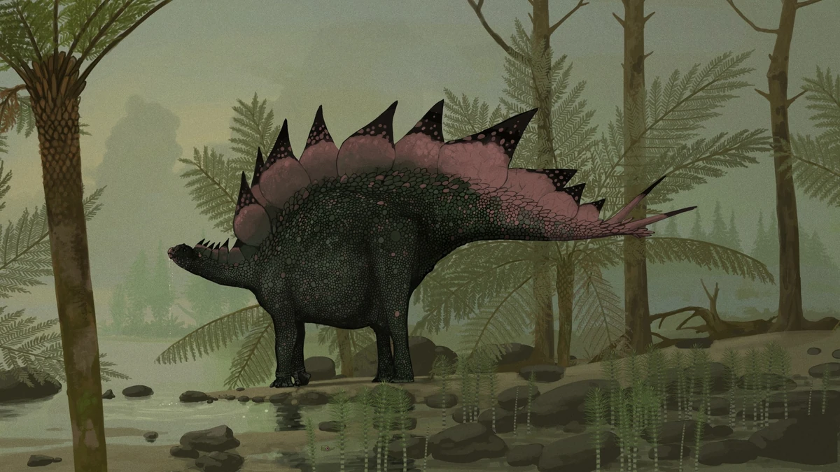 Stegosaurus | Extinct Animals Wiki | Fandom