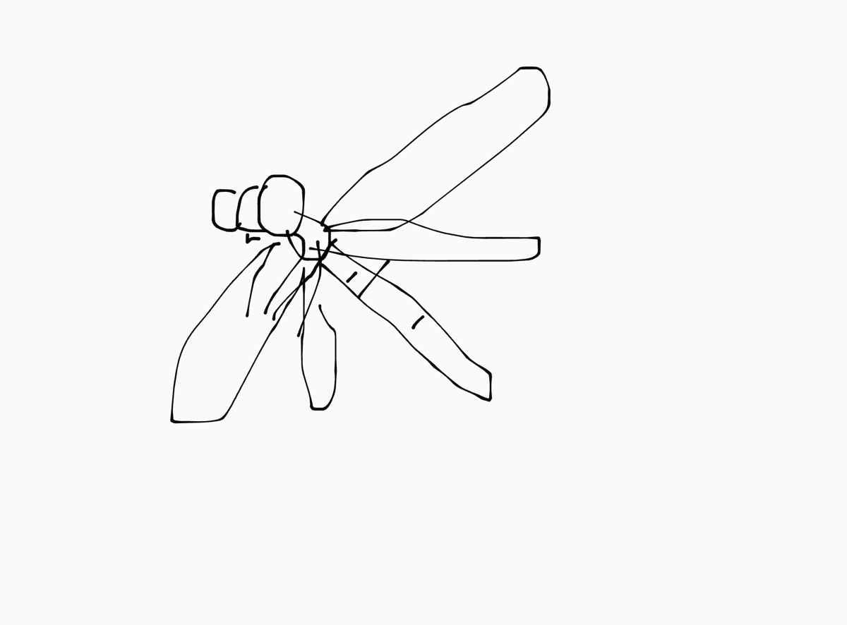 Meganeura | Extinct park Wiki | Fandom