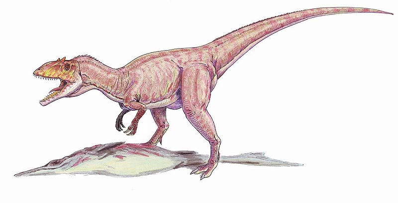 Eustreptospondylus | Dinosaur Wiki | Fandom