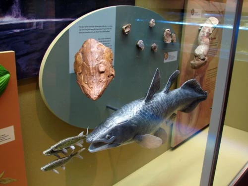 Chinlea | Dinosaur Wiki | Fandom