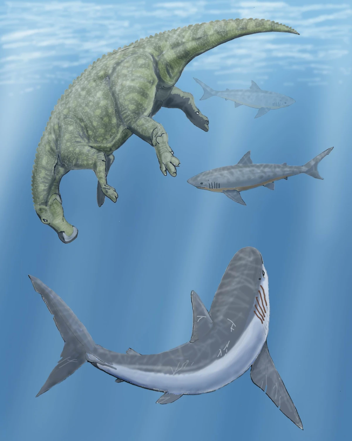 Claosaurus | Dinosaur Wiki | Fandom