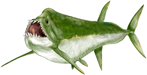 Xiphactinus | Dinosaur Wiki | Fandom