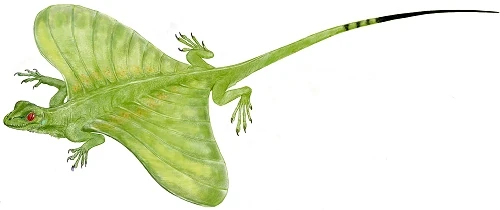 Xianglong | Dinosaur Wiki | Fandom