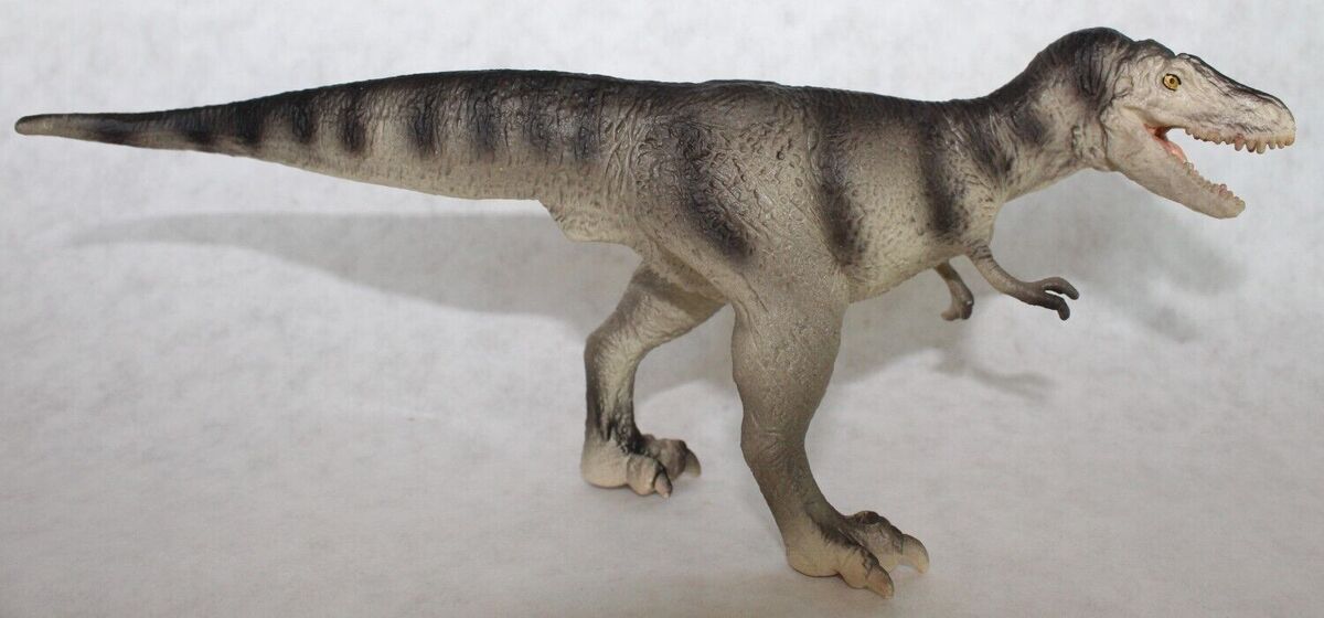 Albertosaurus Dinosaur Wiki Fandom