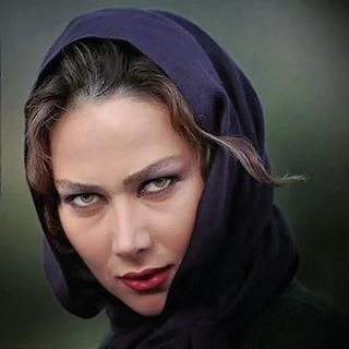 Farah Sherazi | The Ministry of Extraordinary Means Wiki | Fandom