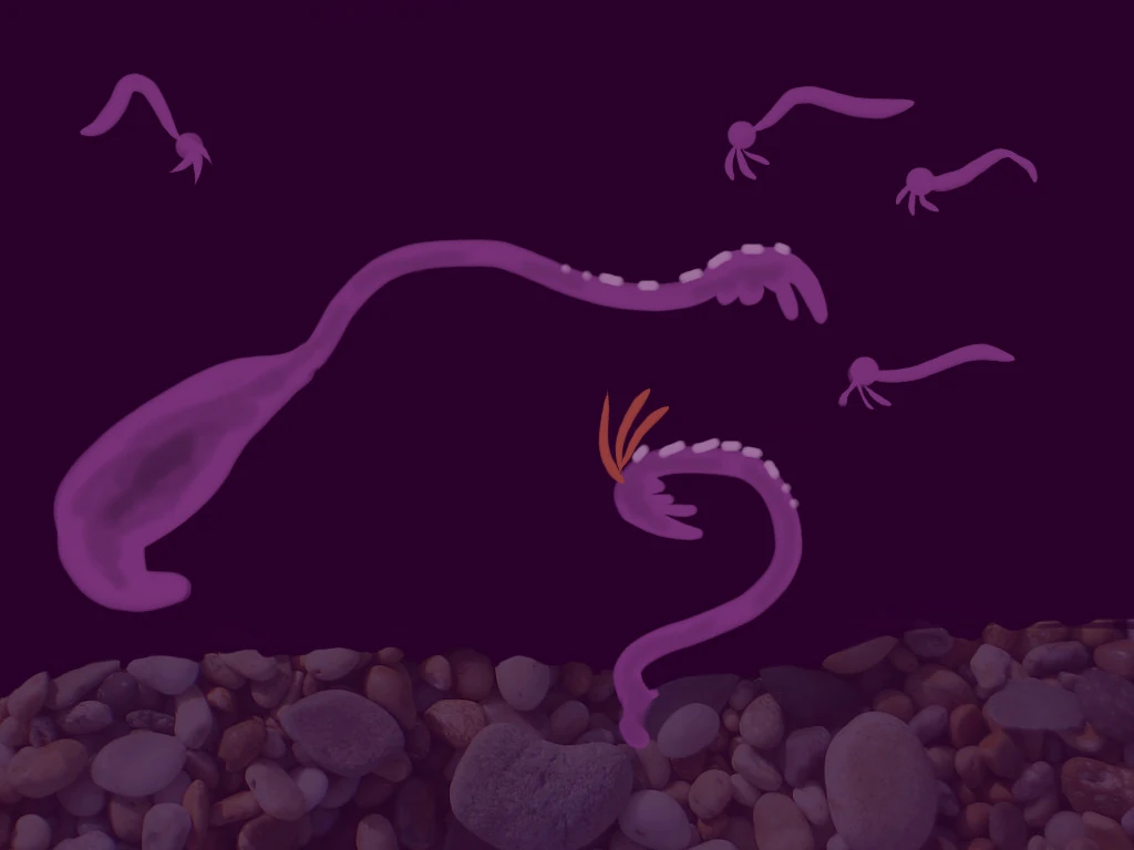 Mohawk Worm | Extraterrestrial Fanon Wiki | Fandom