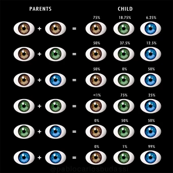 A Guide To Eye Color Coolguides Eye Color Chart Eye Color Facts Eye