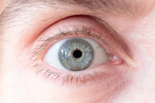 Eye Color Myths | Eye Color Wiki | Fandom