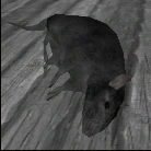 Rodents | Eyes the horror game Wiki | Fandom