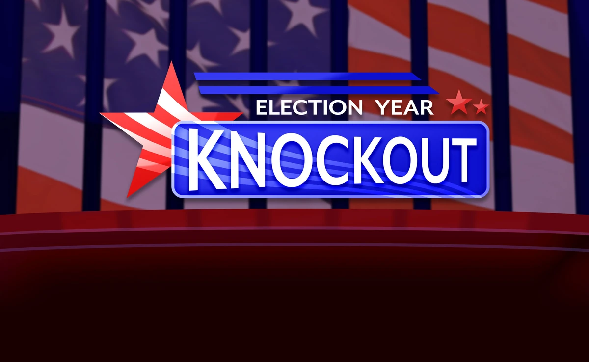 Election Year Knockout Wiki | Fandom