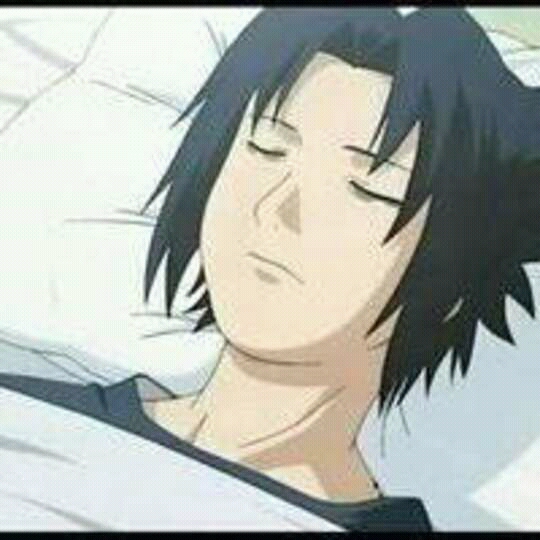 Zzzz F Sasuke Wiki Fandom