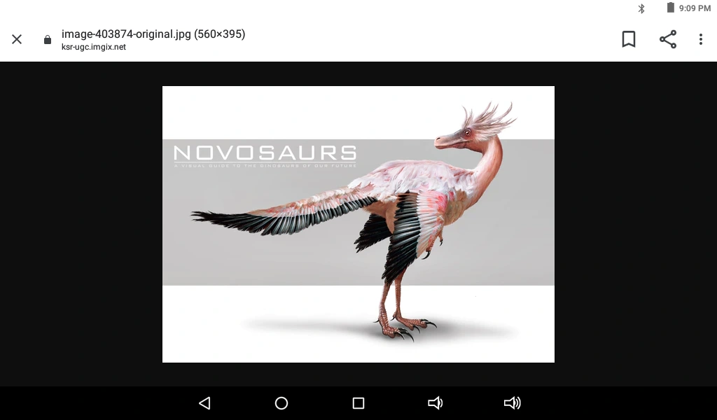 A novosaur with flamingo like feathers | Fandom
