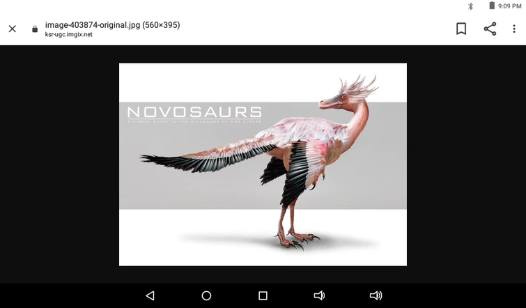 A novosaur with flamingo like feathers | Fandom