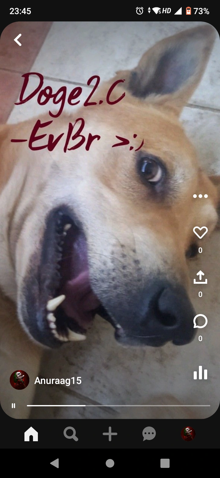 This is doge 2.0 | Fandom