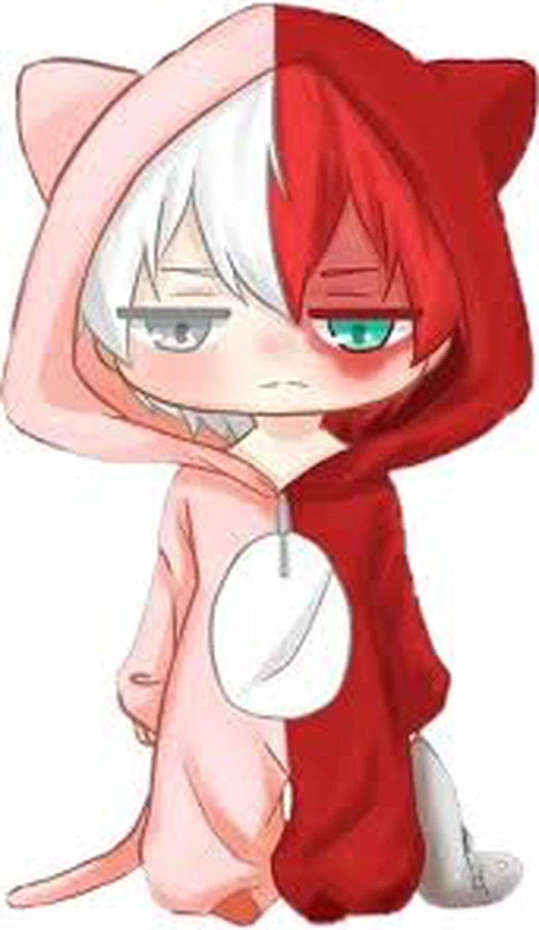 Found Some cute pictures of todoroki deku and bakugo in a onesie (art ...