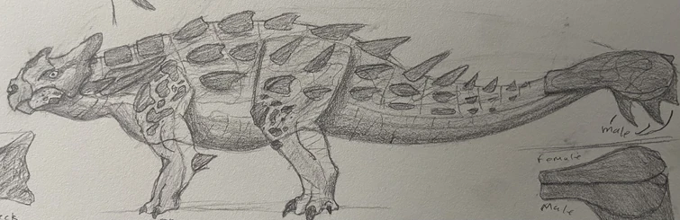 Discuss Everything About Creatures of Sonaria Wiki | Fandom