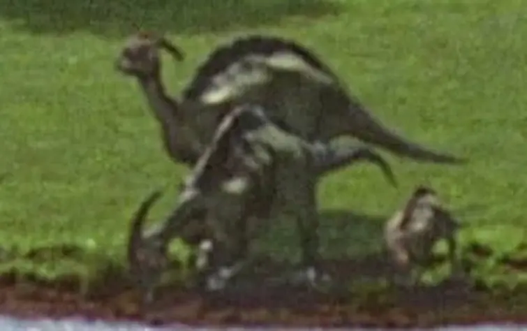 Which of these dinosaurs has the biggest hunchback | Fandom