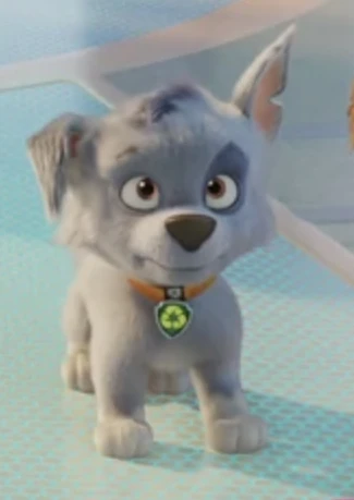 Paw patrol | Fandom