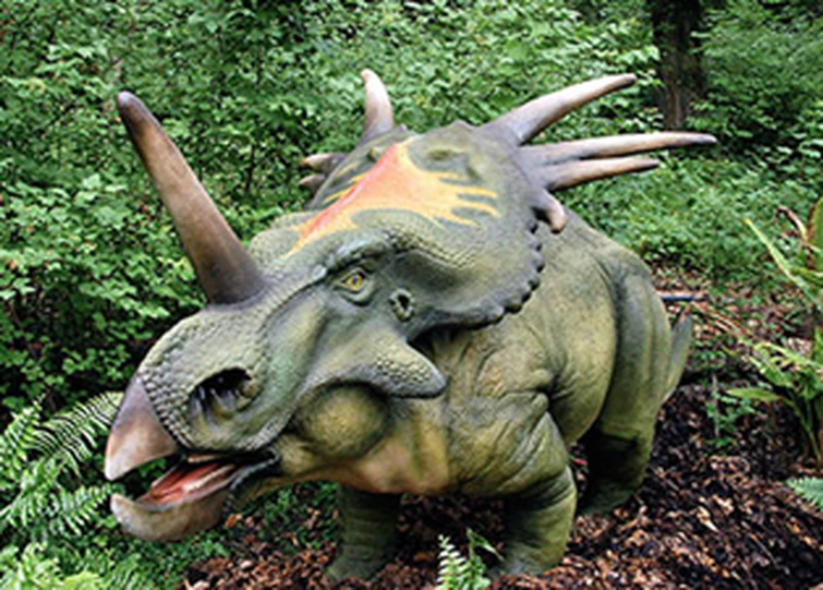 Discuss Everything About Dinopedia | Fandom