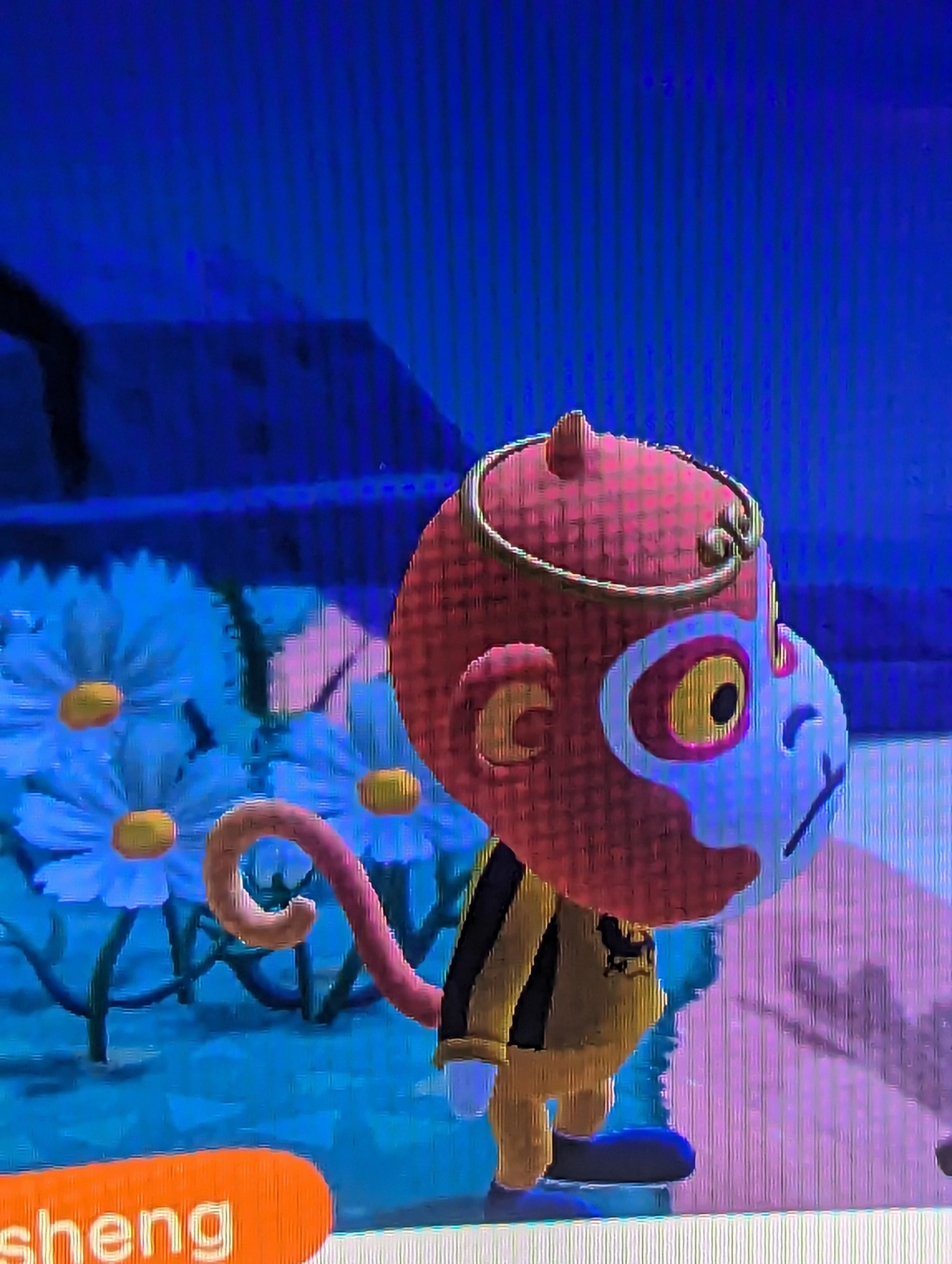 was villager hunting for pietro or nibbles but nvm i like this monkey ...