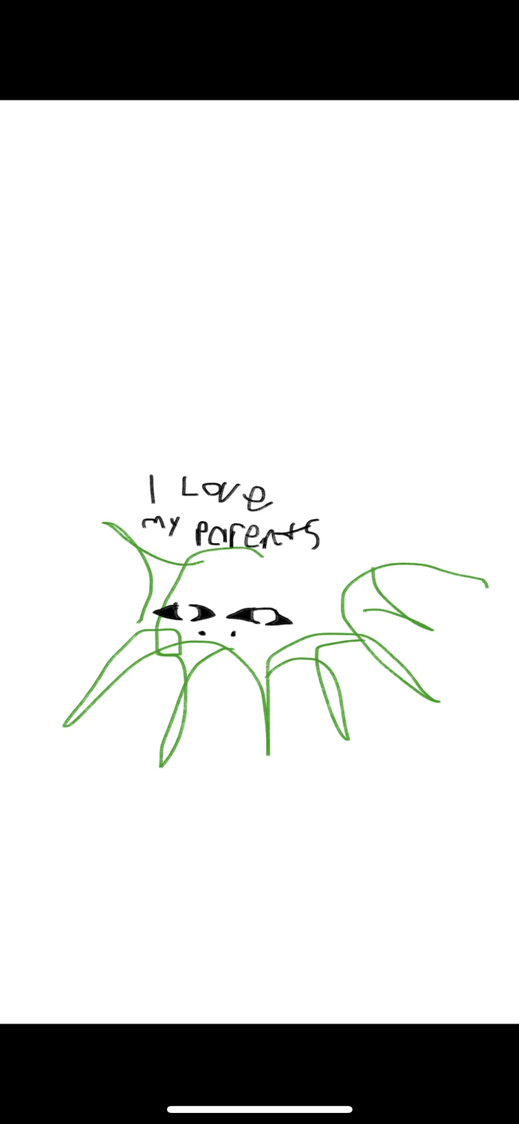 Spider on wall | Fandom