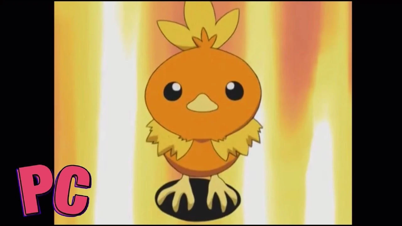 torchic | Fandom