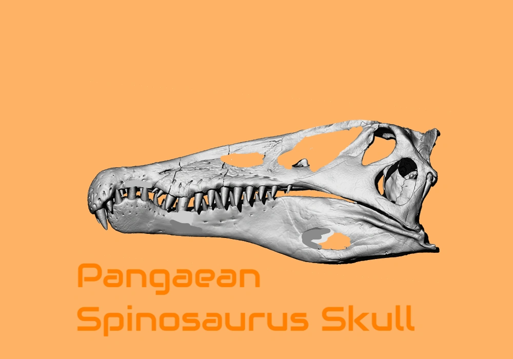 Discuss Everything About Dinopedia | Fandom