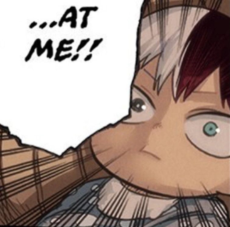 Baby Shoto is such a mood. 😆😂🤣 | Fandom