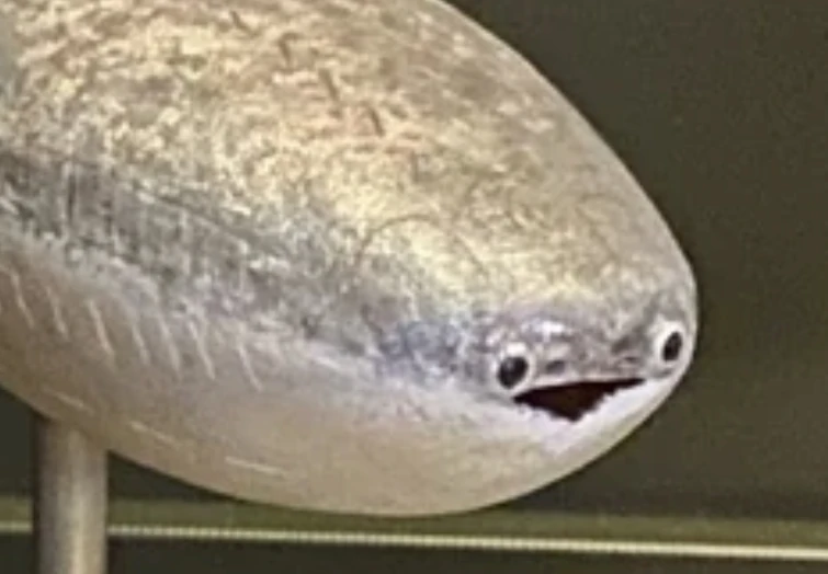 Mutate pepperman | Fandom