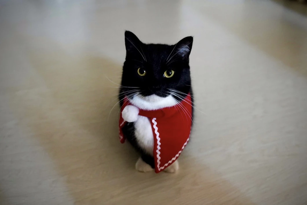 Goonight tyoical colors 2 wimi | Fandom