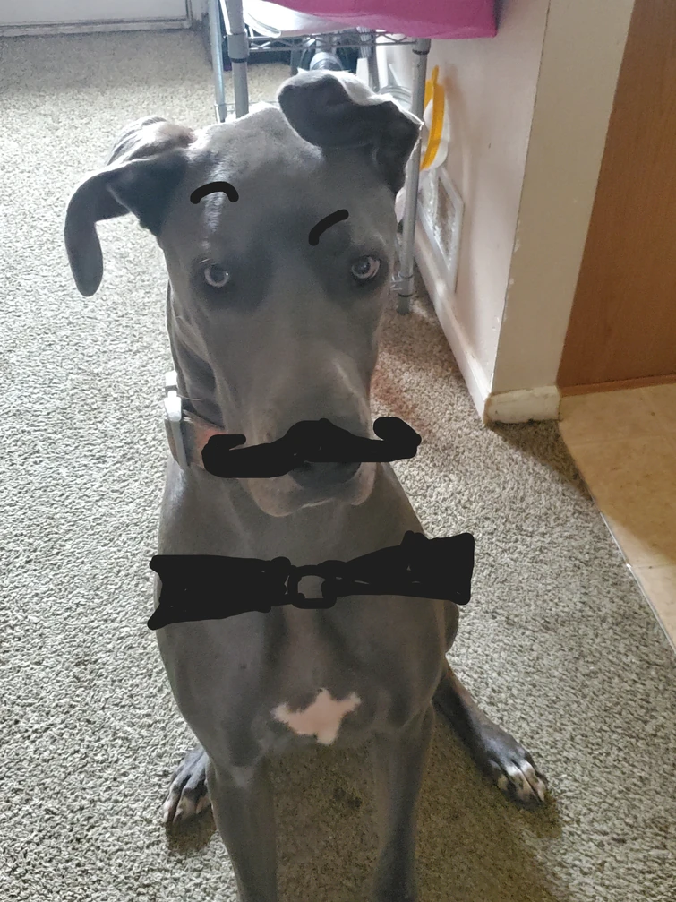 srry for quickposting, but u guys should TOTALLY give me tips on how to be more kind | Fandom