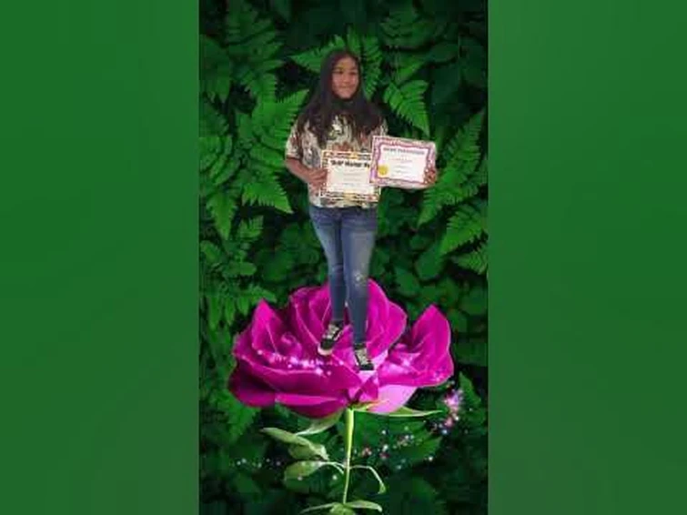 Rosa rosado | Fandom